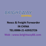 Freight Forwarders in U.S.A. | Freightnet